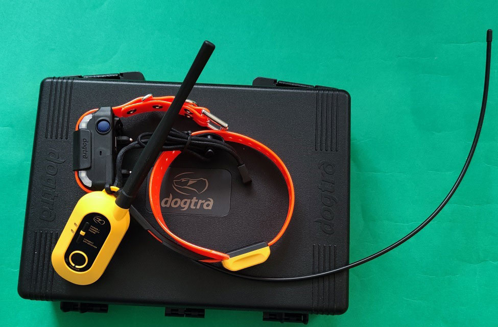 pologar > Dogtra Pathfinder 2 z GPS dla dużych ras psów